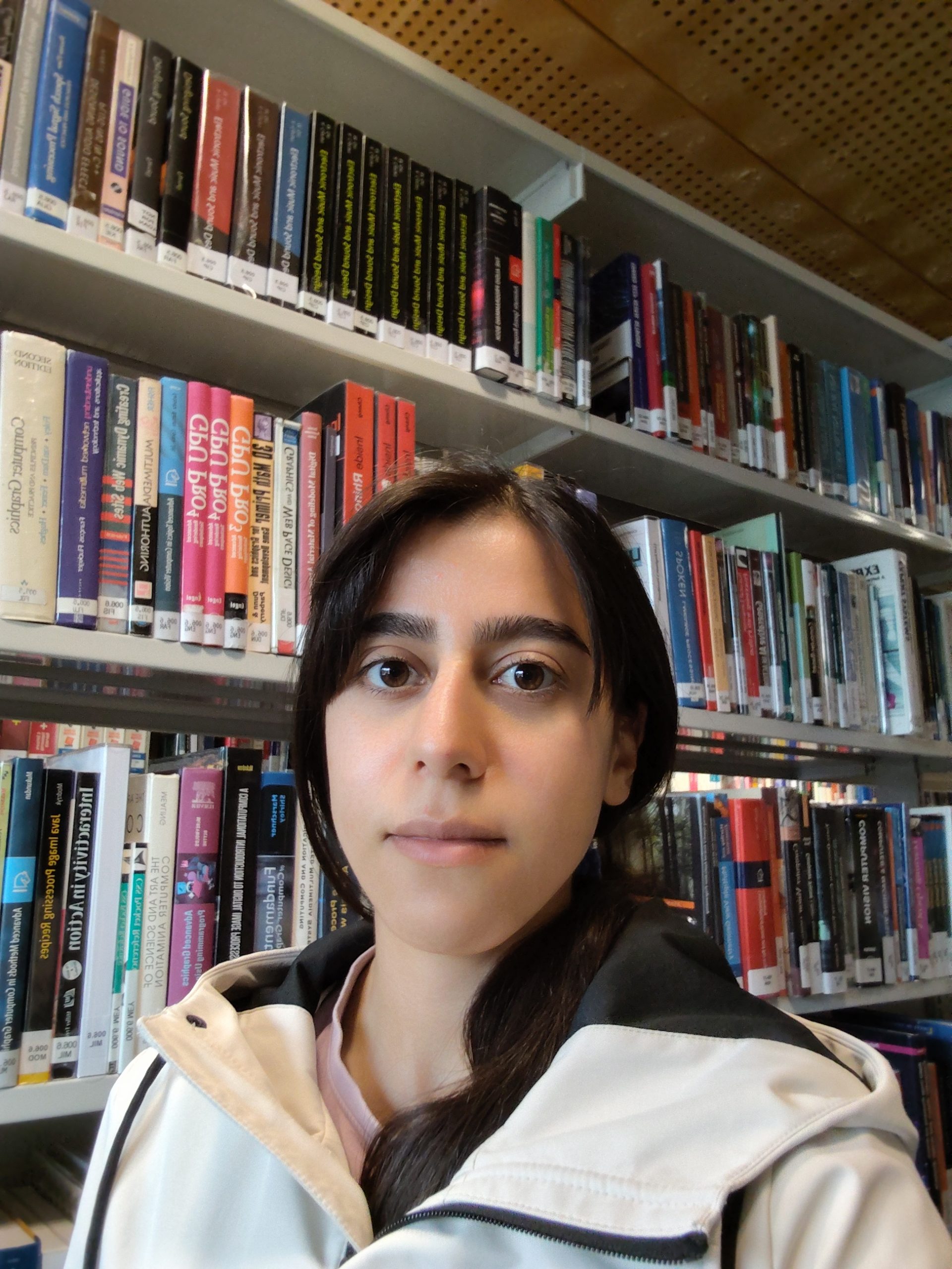 Professor Barry O'Sullivan - CRT-AI