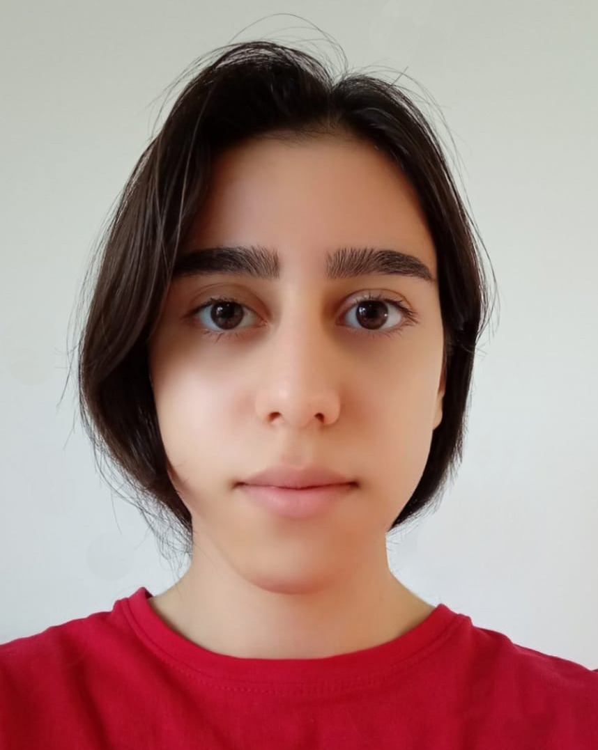 Fatemeh Amerehi - CRT-AI